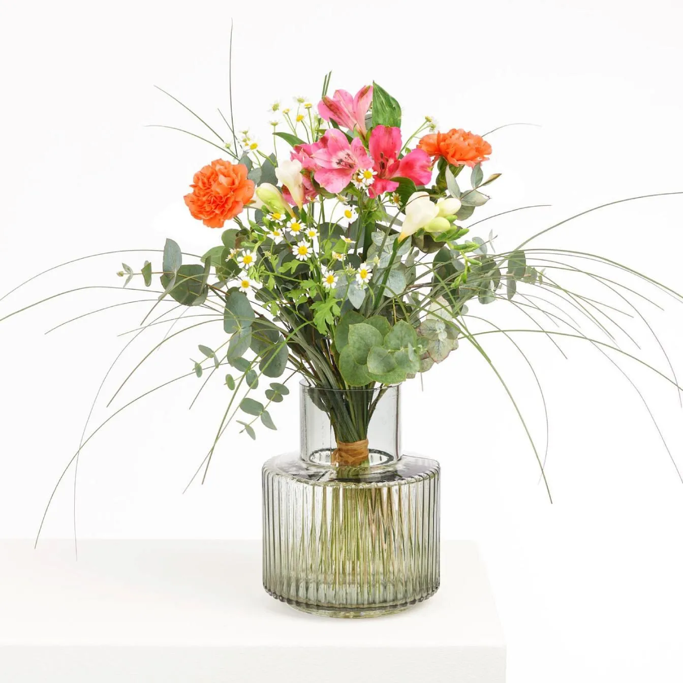 Dream of Spring - Germany