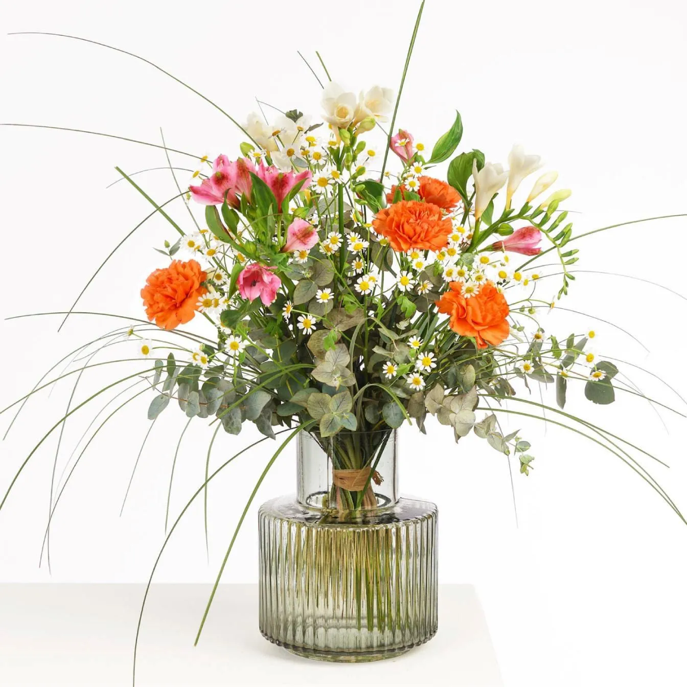 Dream of Spring - Germany