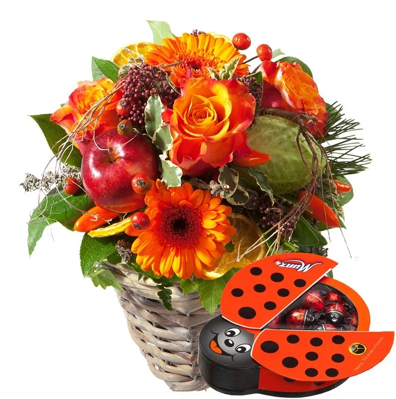 Winter Surprise with Chocolate Ladybird